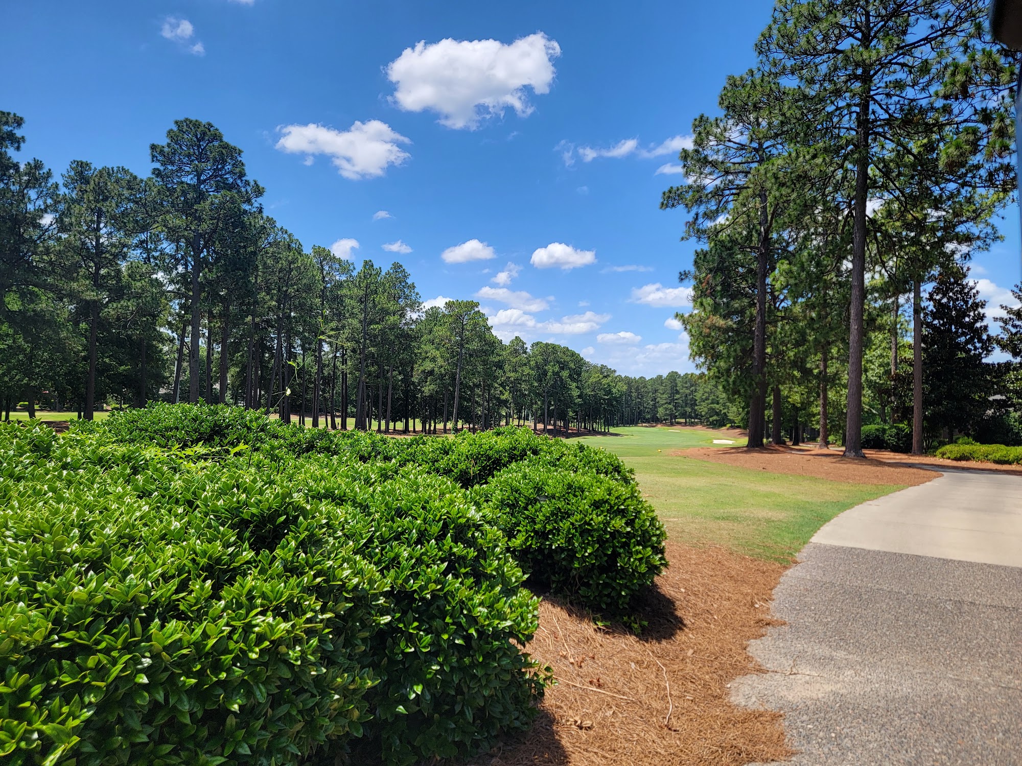 WOODSIDE COUNTRY CLUB - Aiken SC - Hours, Directions, Reviews - Loc8NearMe