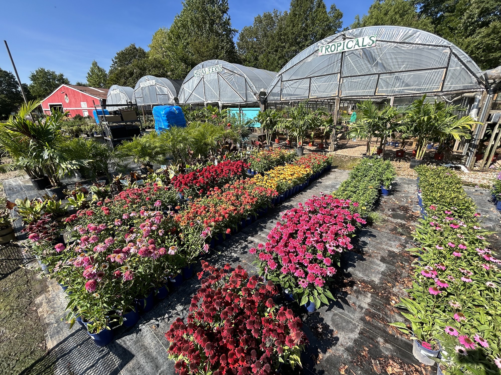 DIGGER O'DELL NURSERY - Arlington TN - Hours, Directions, Reviews ...