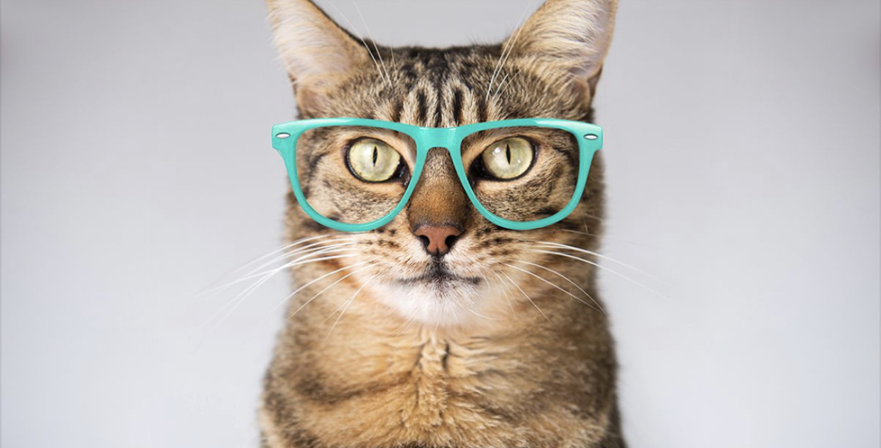 EYE CARE PLUS, LLP - Amarillo TX - Hours, Directions, Reviews - Loc8NearMe