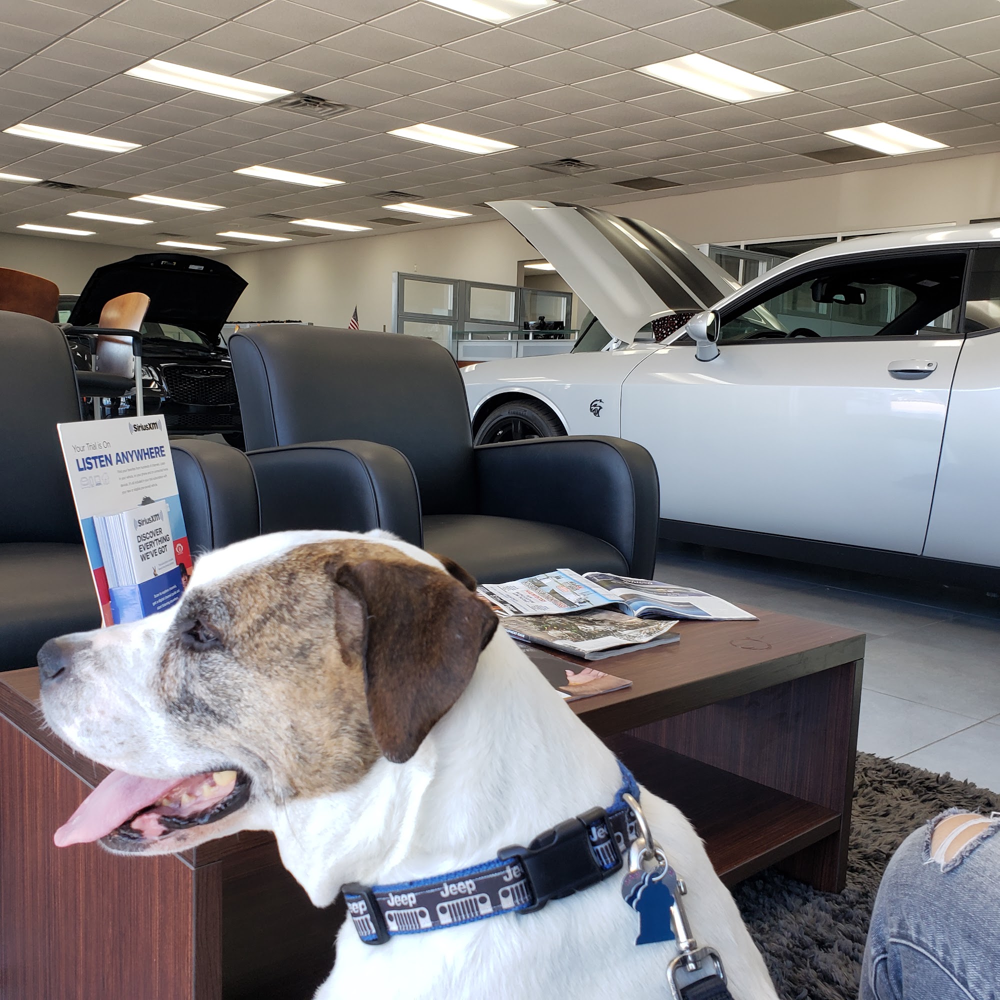 RELIANCE CHRYSLER DODGE JEEP RAM - Bay City TX - Hours, Directions ...