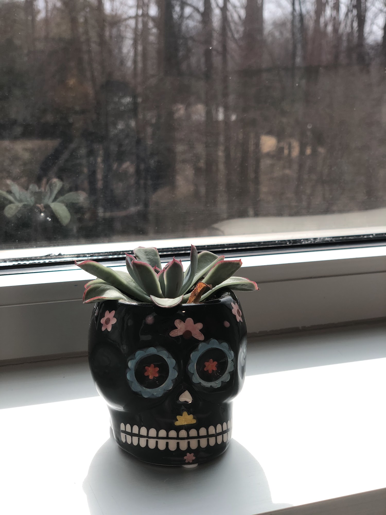 FAIRFAX VASCULAR CENTER - Fairfax VA - Hours, Directions, Reviews ...