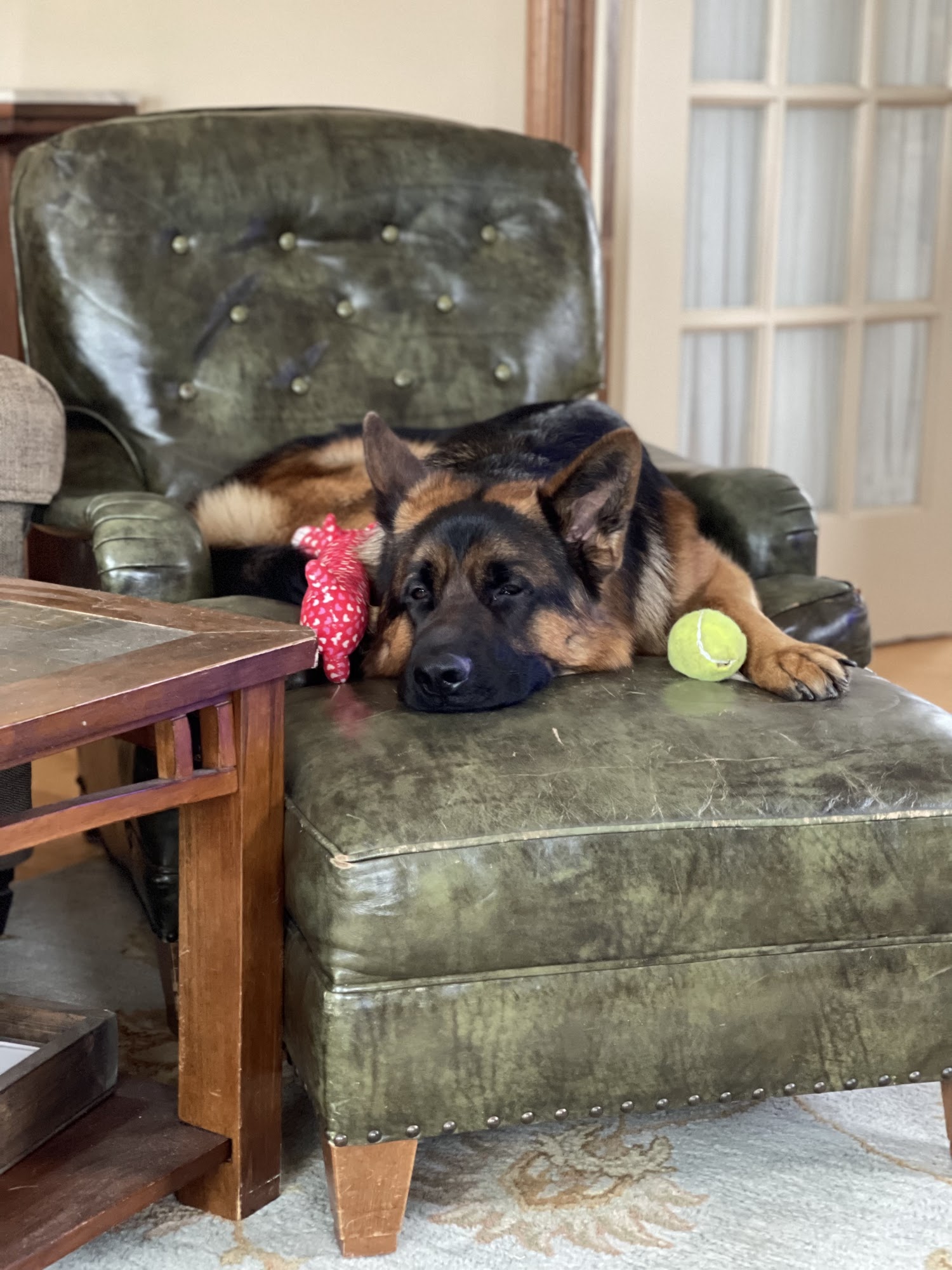 MRI OF RESTON - RESTON RADIOLOGY - Reston VA - Hours, Directions ...