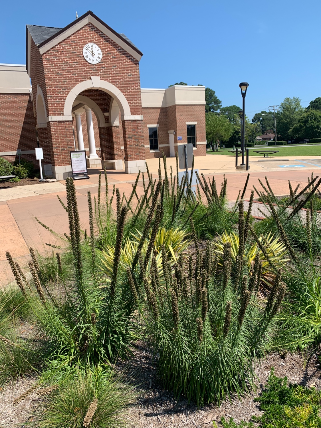 KEMPSVILLE AREA LIBRARY - Virginia Beach VA - Hours, Directions ...