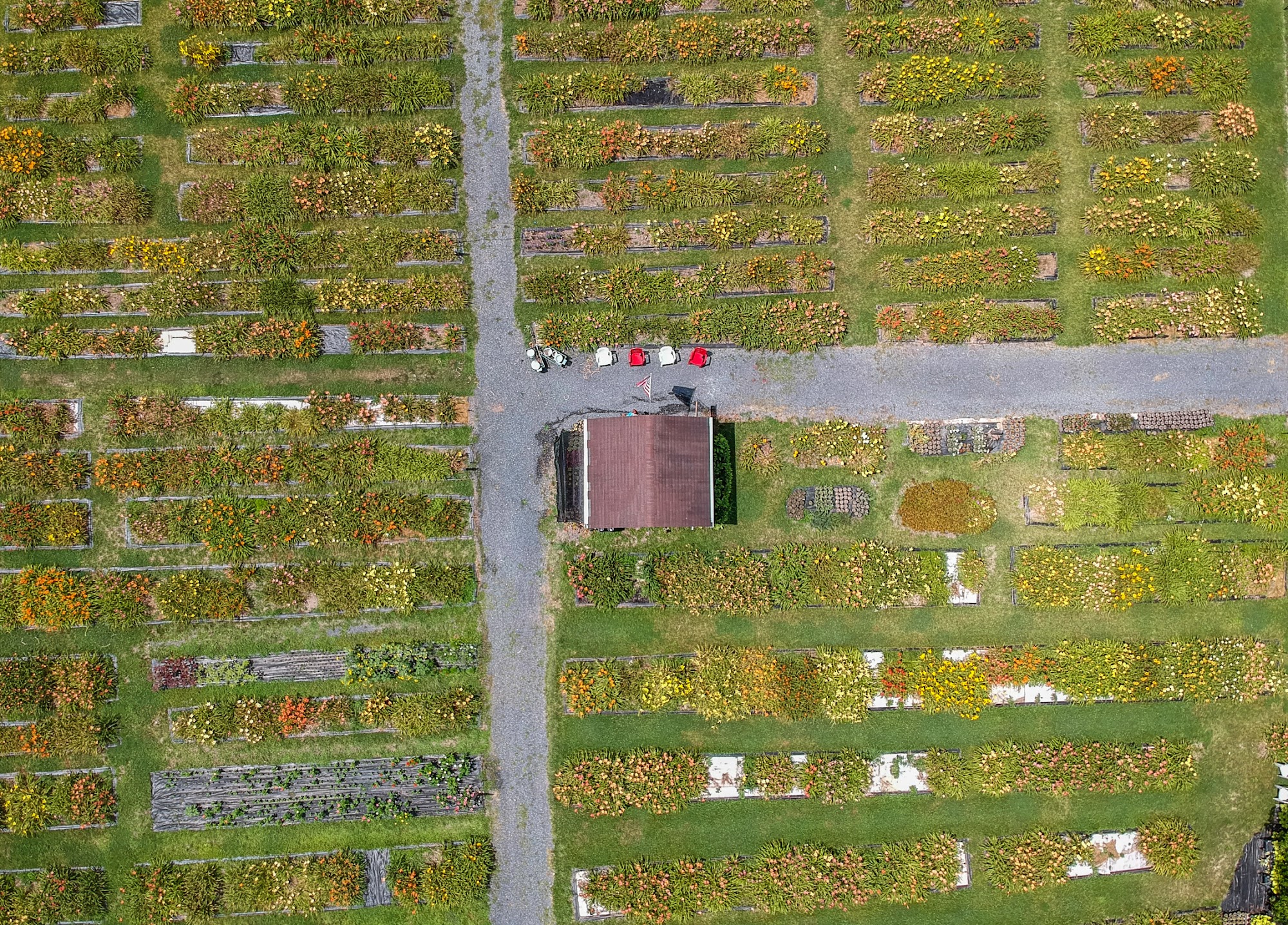 SONRISE FLOWER FARM - Winchester VA - Hours, Directions, Reviews ...