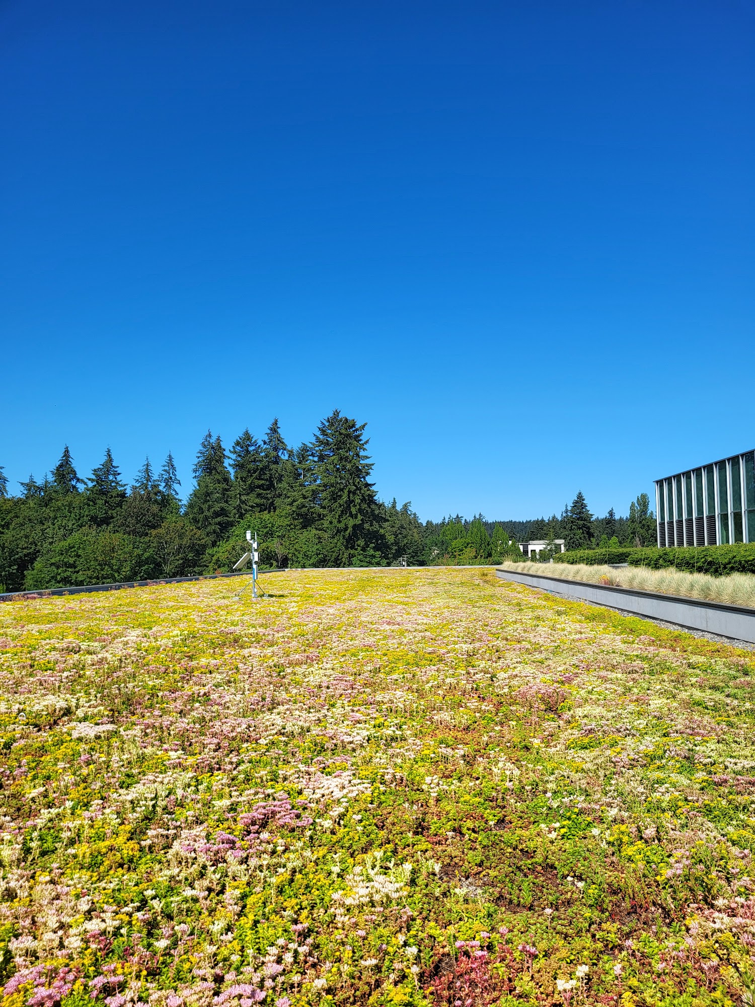 NINTENDO OF AMERICA - 4600 BUILDING - Redmond WA - Hours, Directions ...