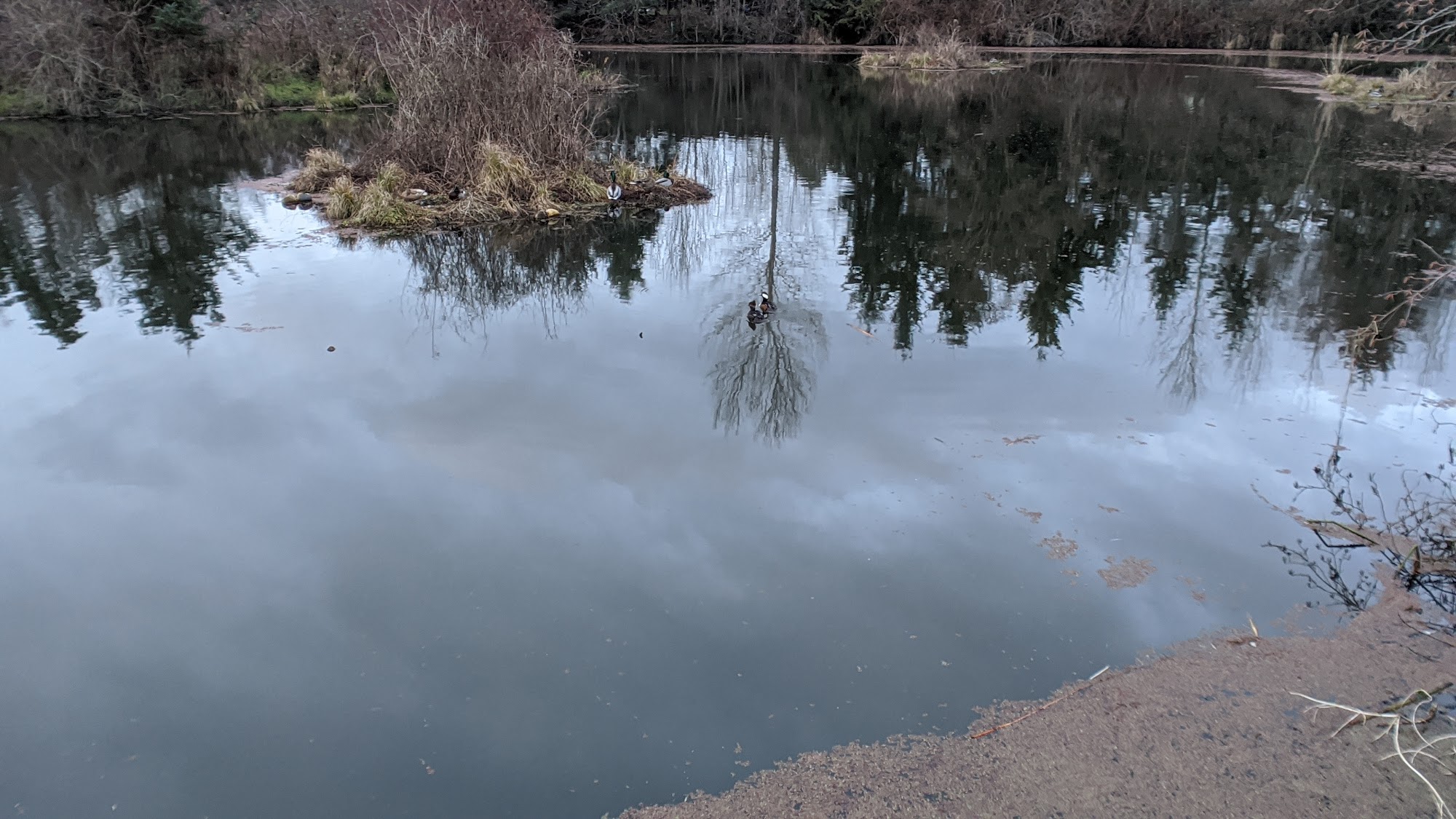 MEADOWBROOK POOL - Seattle WA - Hours, Directions, Reviews - Loc8NearMe