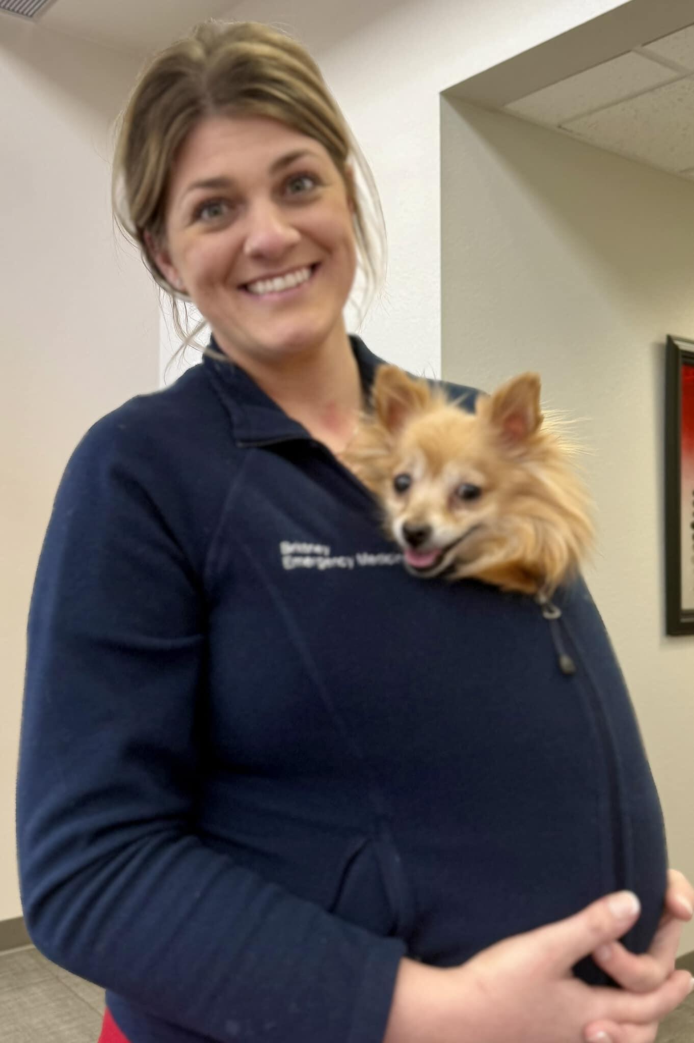 APPLE VALLEY VETERINARY CLINIC - Appleton WI - Hours, Directions ...