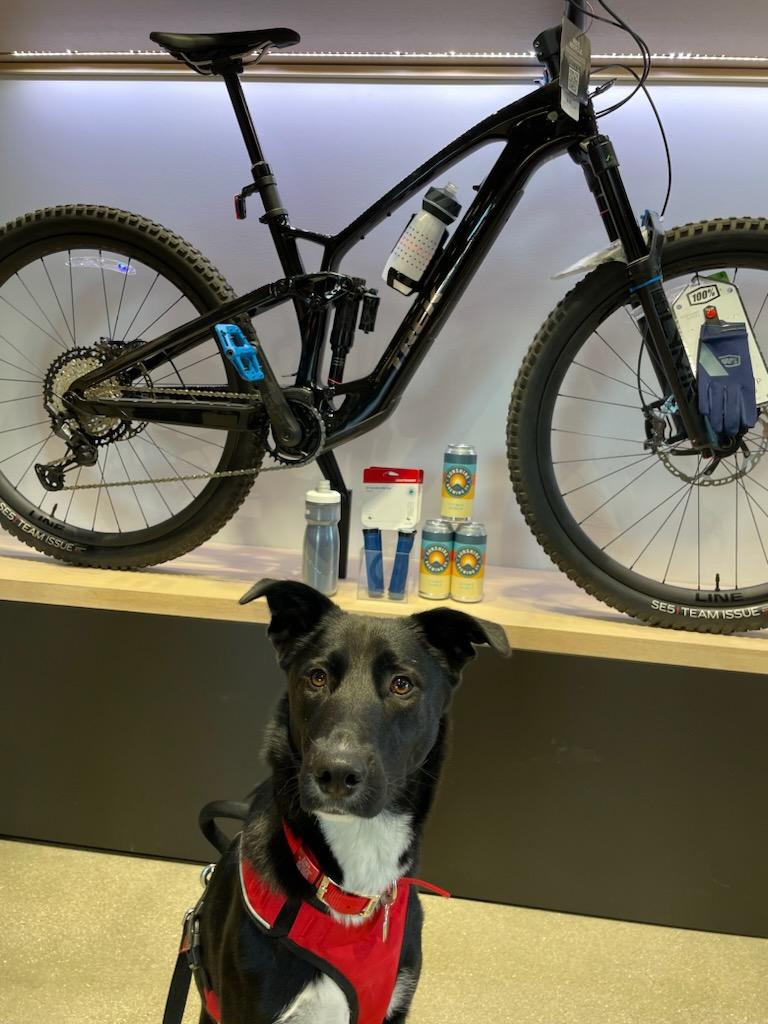 TREK BICYCLE MADISON EAST - Madison WI - Hours, Directions, Reviews ...